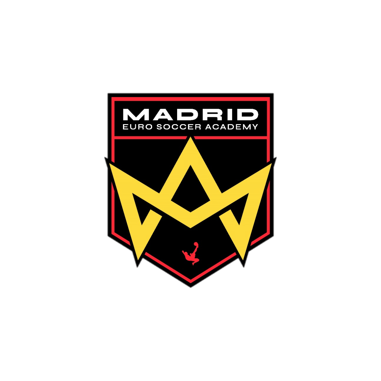 Madrid Euro Soccer Academy. Residential Academy in Spain - EURO SOCCER ...